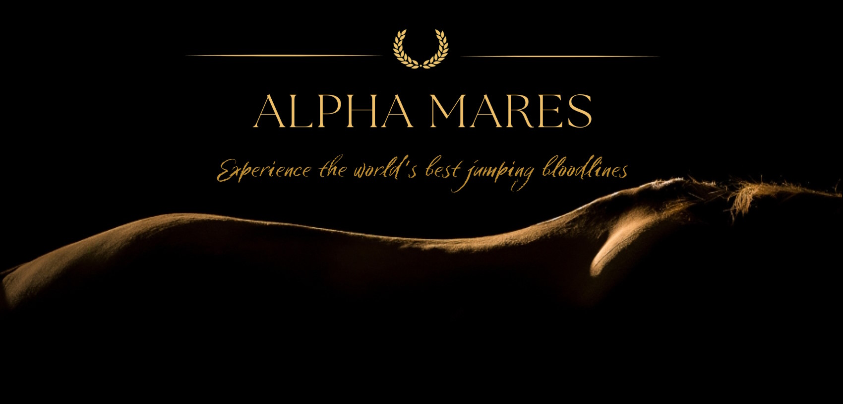 Alpha Mares